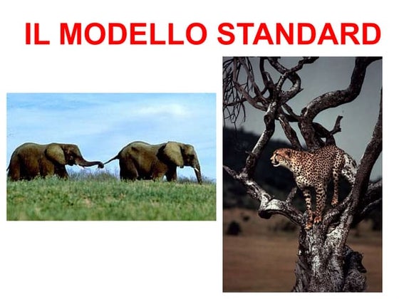 Il Modello Standard! | PPT