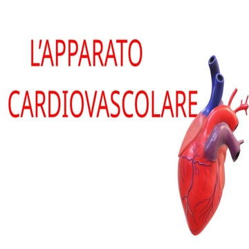 Presentazione Scienze di Gruppo x Informatica.pptx