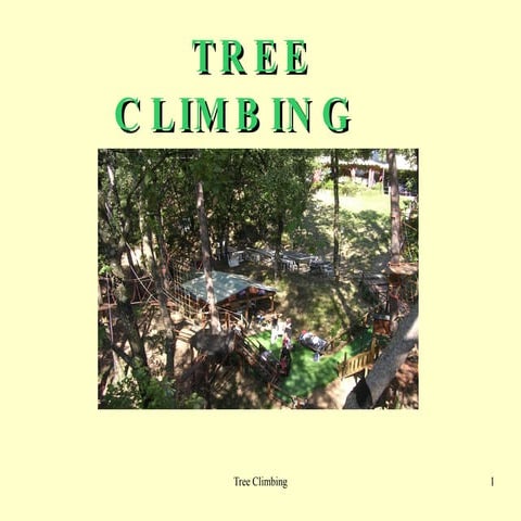 Tree Protection Diagram | PDF