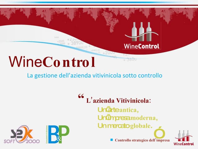 Software Controllo Di Gestione Ppt
