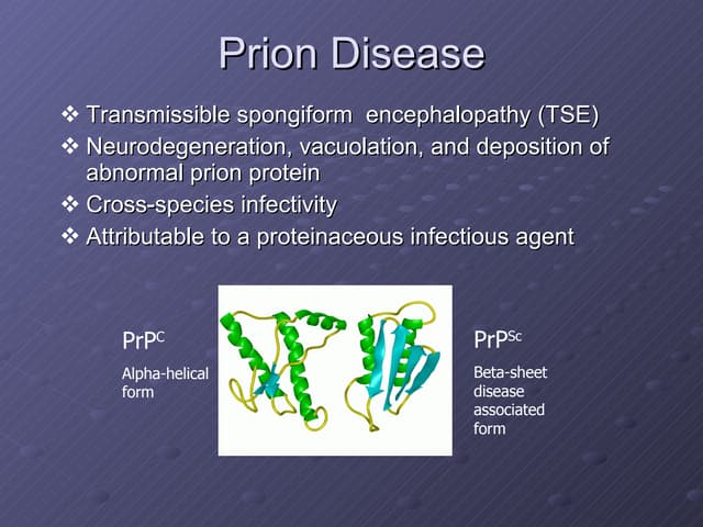 Prions and diseases | PPT