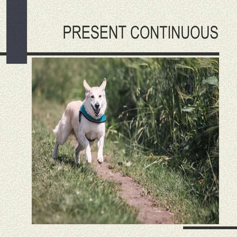 Present continuous | PPTX