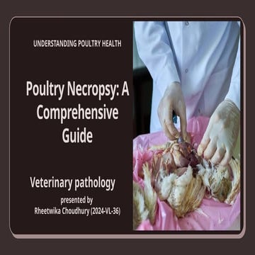 Illustrated Guide to Poultry Necropsy and Diagnosis | PDF