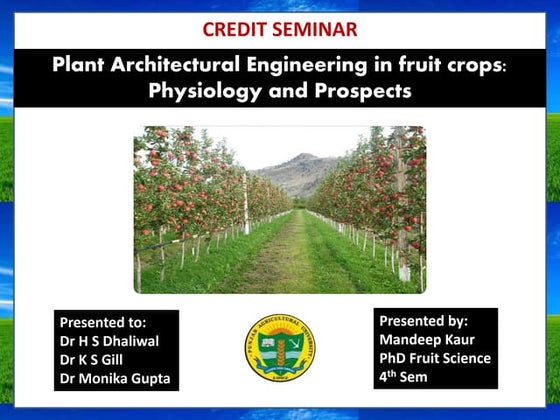 PLANNING AND LAYOUT OF AN ORCHARD.pptx | Gardening | Home & Garden