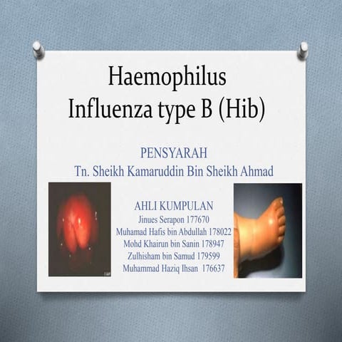 Haemophilus Influenza type B (Hib) | PPTX
