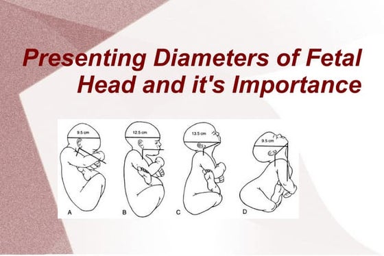 Obstetrical pelvic measurements | PPT