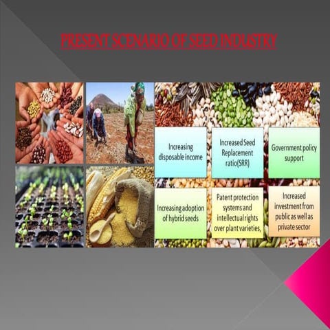 Present scenario of seed industry | PPTX