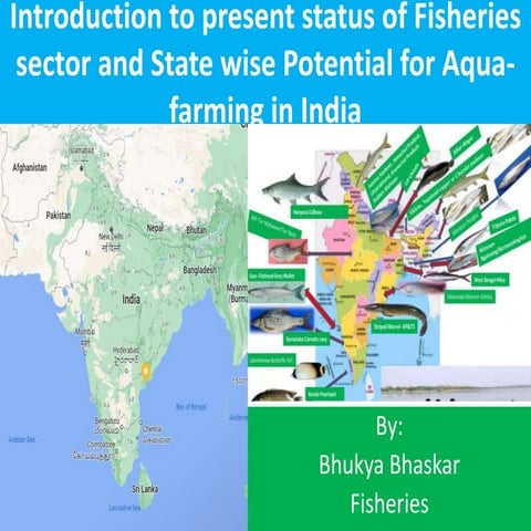 Present status of FIsheries sector and Potential for sustainable ...