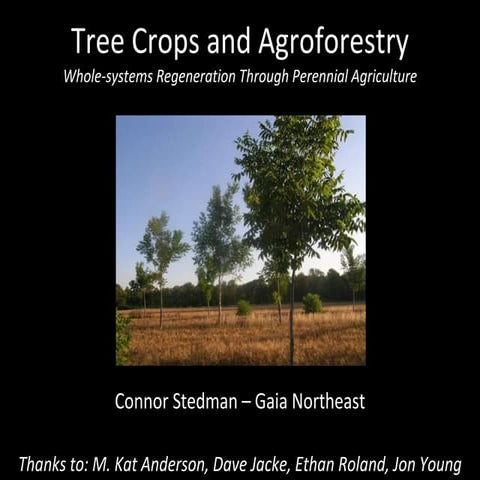 Tree Crops & Agroforestry - Young Farmers 09 | PPT