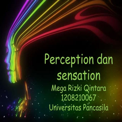 Perception and sensation | PPTX