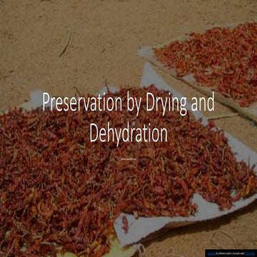 Preservation by Drying and Dehydration.pptx