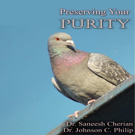 Preserving Your Purity | PDF
