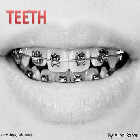 Teeth | PPT