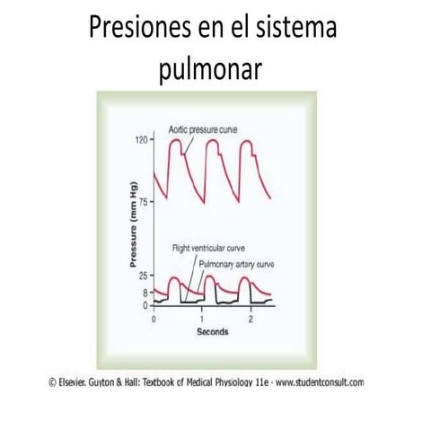 Presiones en el sistema pulmonar | PPT