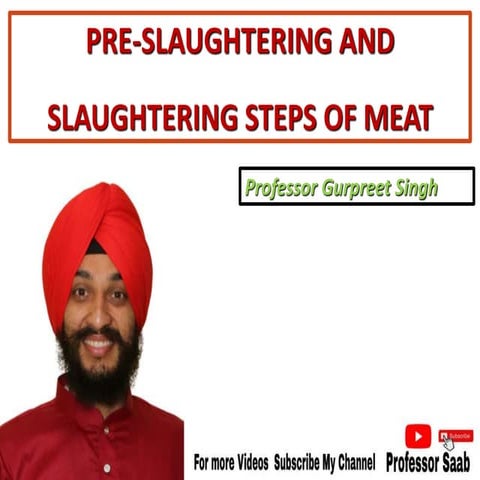 Pre slaughtering of meat.pptx