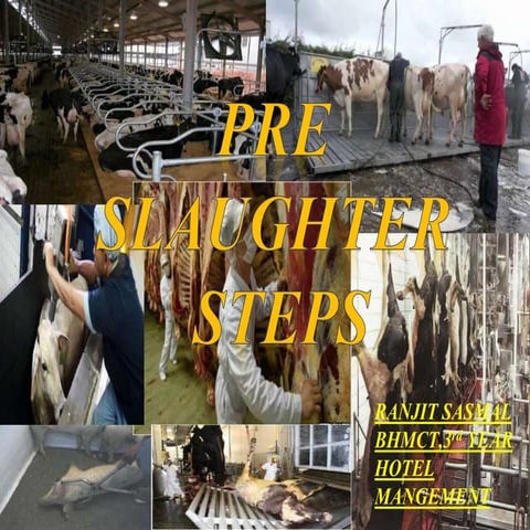 Pre slaughter steps | PPTX
