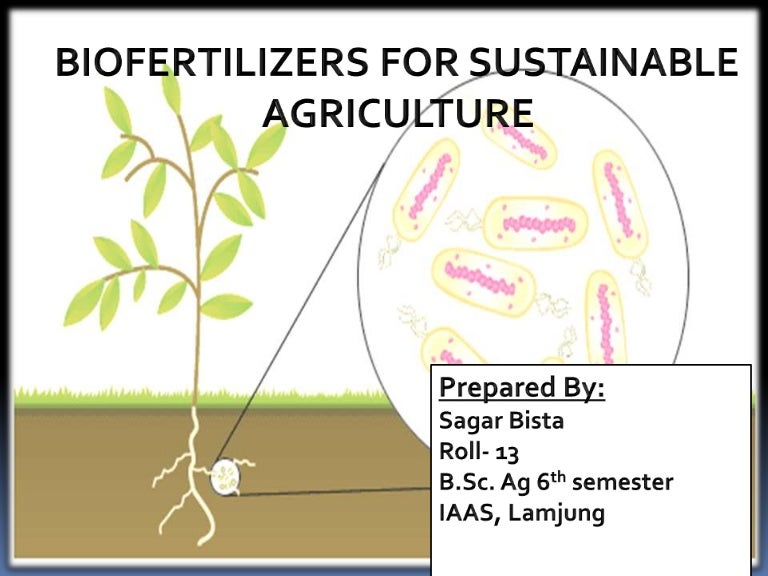Biofertilizers-importance and uses