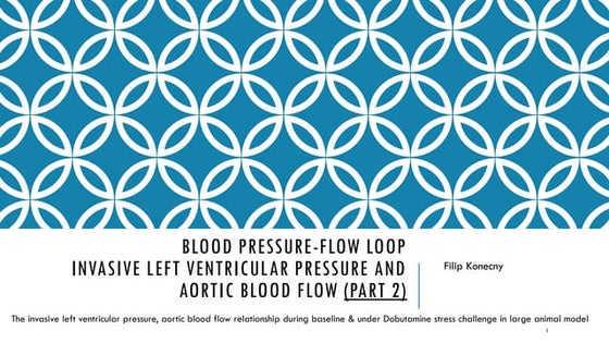 Transonic PV work book | PDF