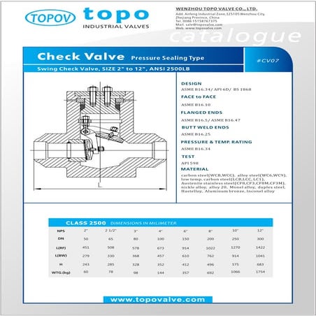 Pressure sealing swing check valve 2500 lb topo valve catalogue | PDF