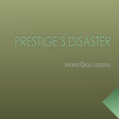 Prestige Disaster | PPT