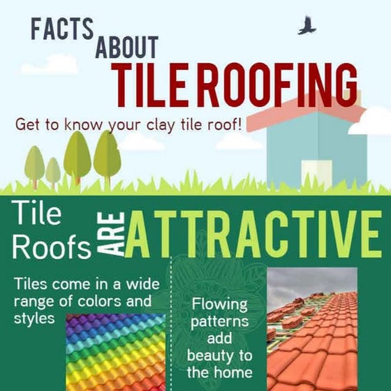 Tessie conkey final portfolio | PPT