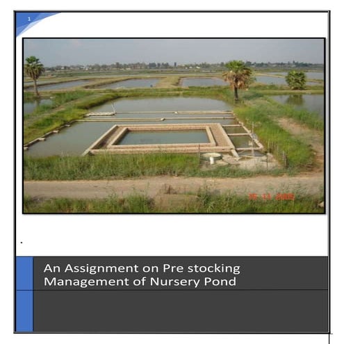 Nursery pond management of Fishes | PPT