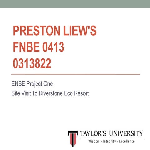 ENBE Project One Powerpoint | PPT