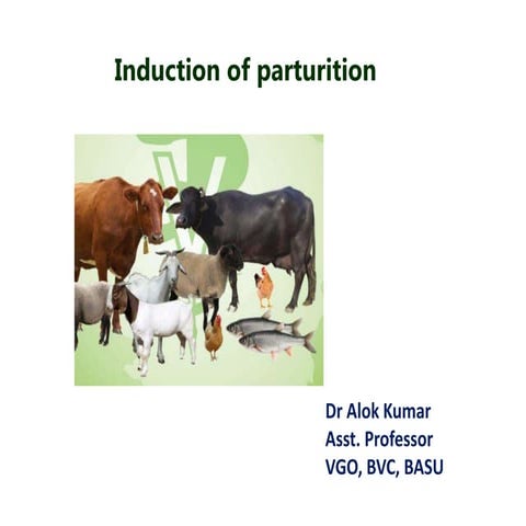 Vet obst lecture 5 Parturition in domestic animals | PPTX