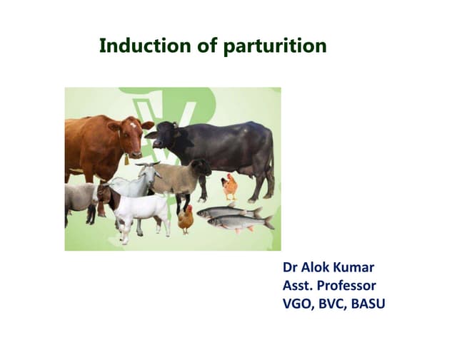 Vet obst lecture 5 Parturition in domestic animals | PPTX