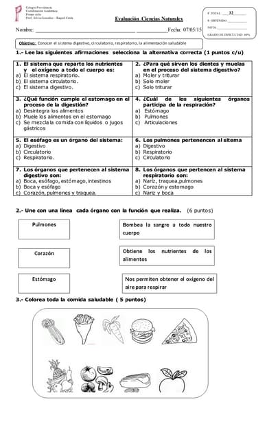 Evaluacion cuerpo humano | PDF