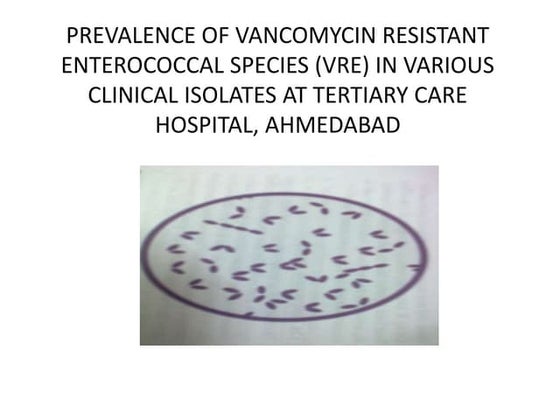 Vancomycin-Resistant Staphylococcus aureus in the United States, 2002 ...