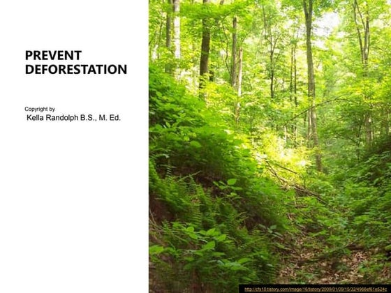 Ecology Project- National Parks | PPT