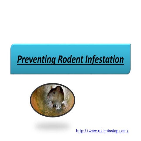Preventing Rodent Infestation | PPTX