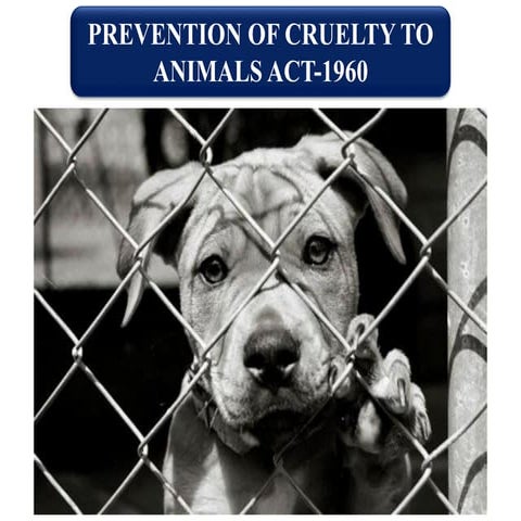 PREVENTION OF CRUELTY TO ANIMALS ACT-1960 PART 1.pdf