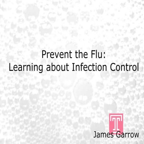Prevent The Flu | PPT