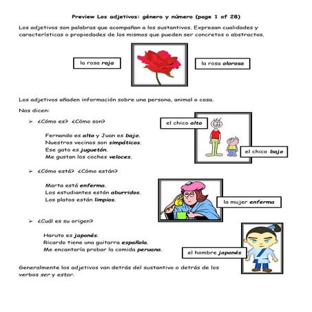 Preview of Los Adjetivos: género y número | PDF