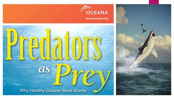 Natural Causes of Extinction | PPTX | Environment | Science