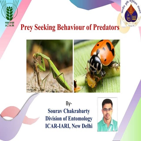 Prey Seeking Behavior of Predators.pptx | Gardening | Home & Garden