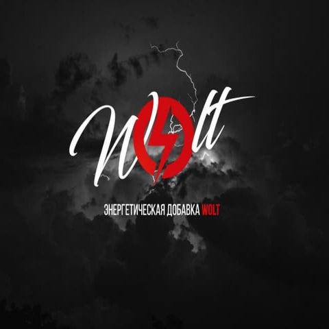 Wolt Presentation | PDF