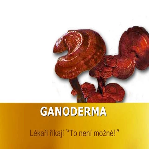 Prezentace ganoderma | PDF