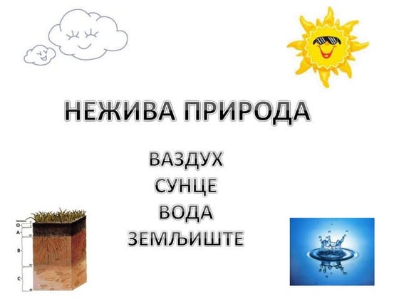 Ziva i neziva priroda | PPT