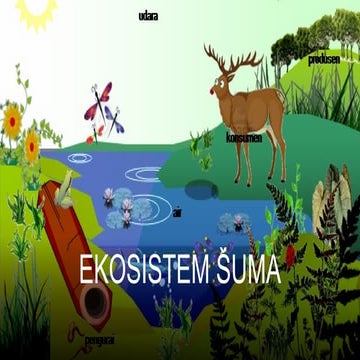 biologija ekosistem suma mnogo dorba prezentaciuja | PPTX