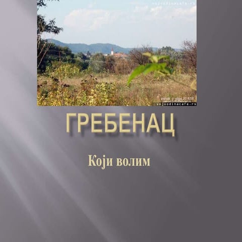Grebenac | PPTX