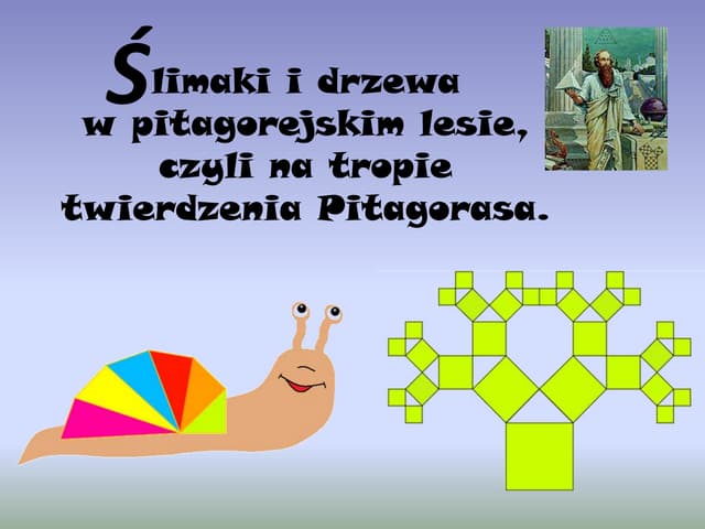 Pitagoras | PPS