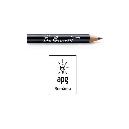 Prezentare Elena Ionita | PPT