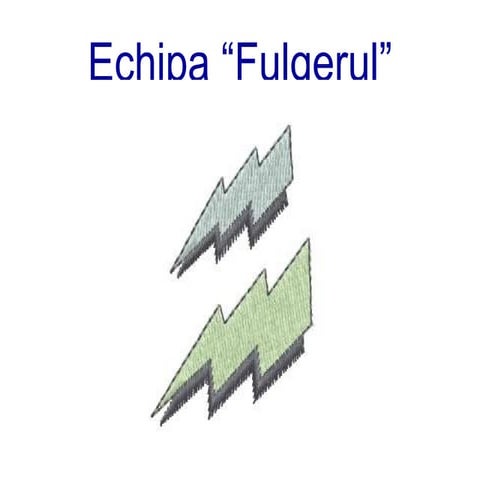 Prezentarea Echipei Fulger | PPT