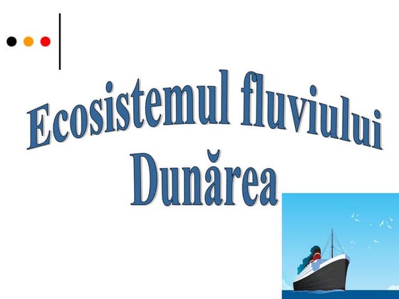 459135957-Padurile-Ecuatoriale-Si-Savanele.pptx