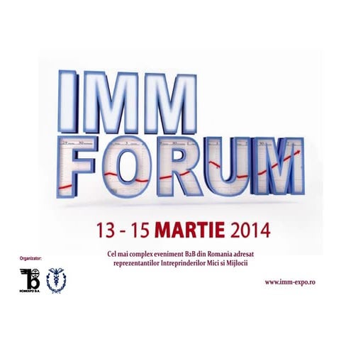 IMM Forum - Solutii pentru IMM-uri | PDF