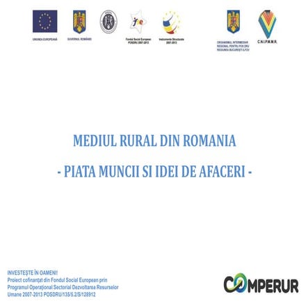 Mediul Rural din Romania - Piata Muncii si Idei de Afaceri | PPT