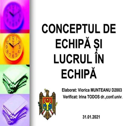 prezentare echipa Viorica.ppt